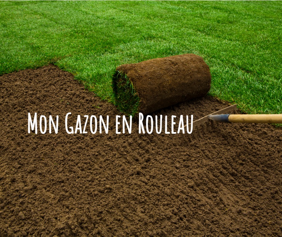 Mon Gazon en Rouleau - Commandez en ligne facilement